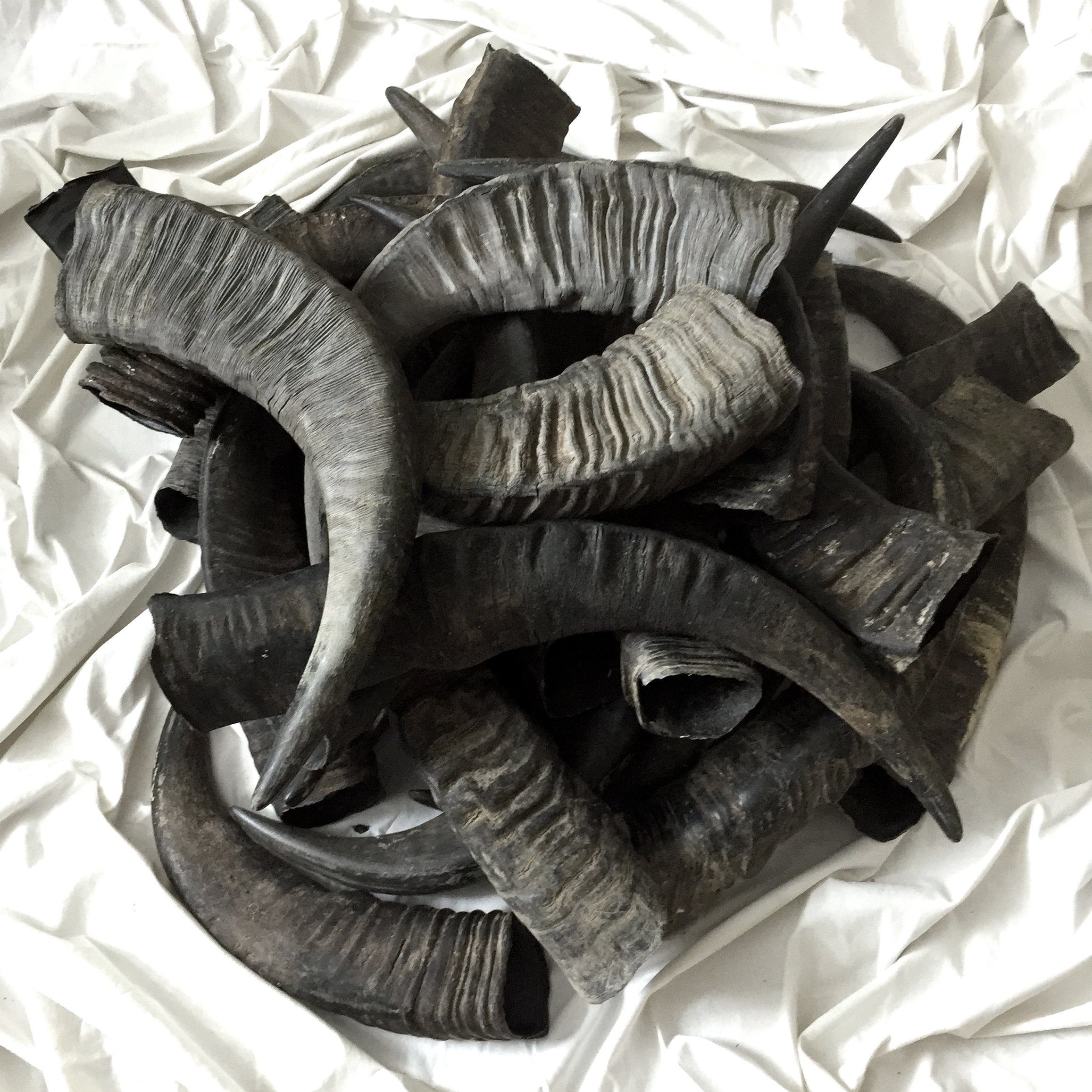 The genesis of the Brant – ZADEH NY